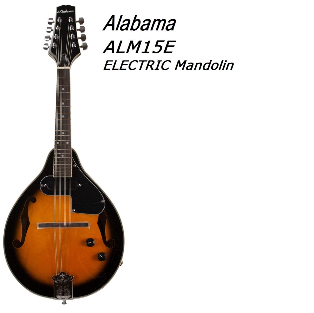 Acoustic Guitars – Murphy's Music